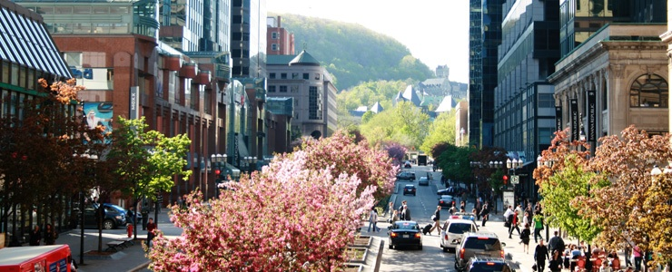 Partir étudier au Québec